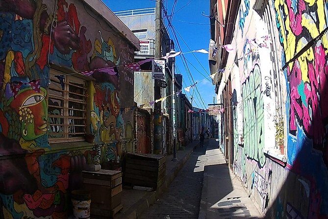 Valparaiso & Viña Del Mar, Museum & Lunch FROM STGO. Private Tour - Transportation and Comfort