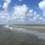 Vanishing Mile Isle Beachcomber Tour - The Itinerary Breakdown: From Harbor Views to Hidden Sandbars