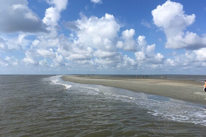 Vanishing Mile Isle Beachcomber Tour - The Itinerary Breakdown: From Harbor Views to Hidden Sandbars