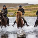 Varmahlid: 1-Hour Icelandic Horse Riding Tour - What to Expect During Your Ride