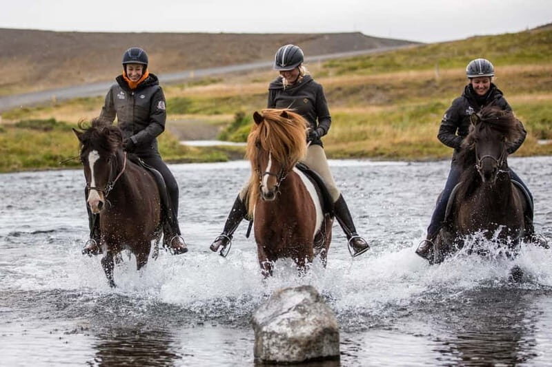 Varmahlid: 1-Hour Icelandic Horse Riding Tour - What to Expect During Your Ride