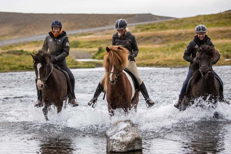 Varmahlid: Viking Horse Riding Tour - Who This Tour is Best For