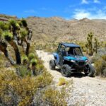 Vegas Desert RZR Adventure with Lunch at the Pioneer Saloon - Discovering Goodsprings: A Town Frozen in Time