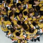 Vegas Golden Knights: NHL Hockey Tickets - Who Should Consider This Experience?