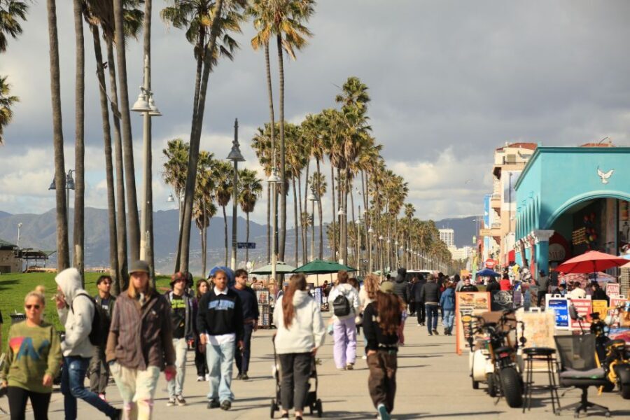 Venice California: Half Day Tour in Open Air Bus - Why You’ll Love This Tour