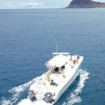 Venture Wildlife Snorkel Charter from Ko Olina - Final Thoughts: Who Will Love This Tour?