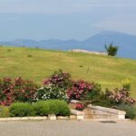 Vergina and Veria Half-Day Tour from Thessaloniki - Why Choose This Tour?