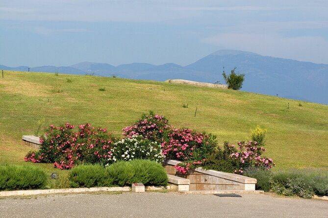 Vergina and Veria Half-Day Tour from Thessaloniki - Why Choose This Tour?