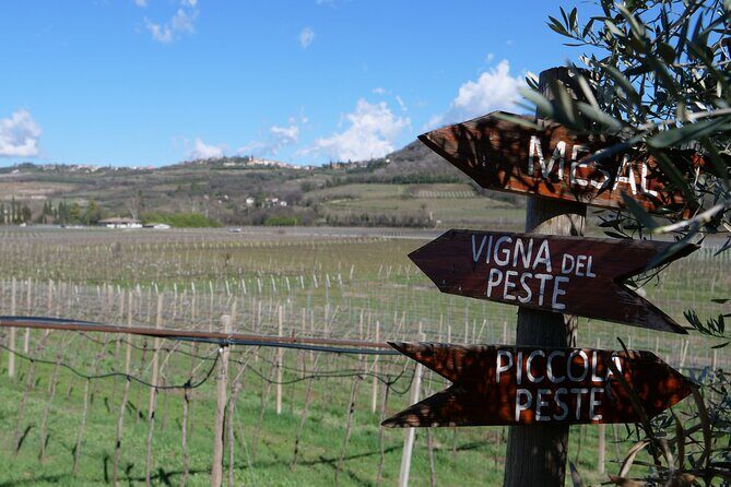 Verona - Cellar Tour and Tasting of NATURAL WINES - A Closer Look at the Itinerary