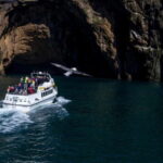 Vestmannaeyjar: Puffin, Island, and Volcano Boat Tour - The Practical Side: Logistics and Value