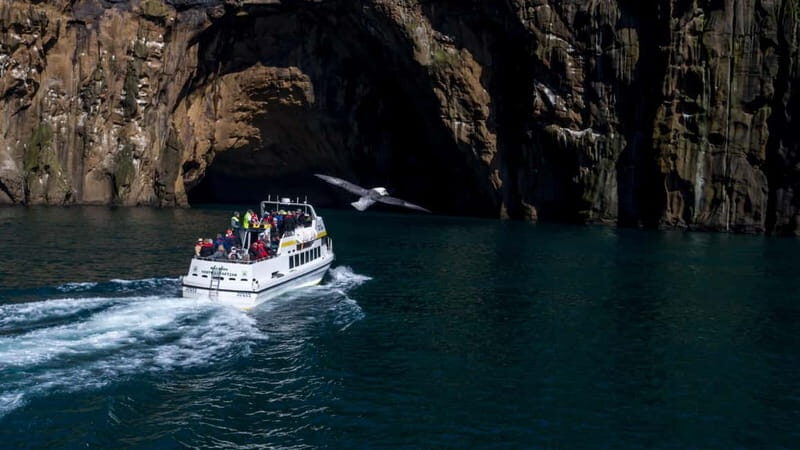 Vestmannaeyjar: Puffin, Island, and Volcano Boat Tour - The Practical Side: Logistics and Value