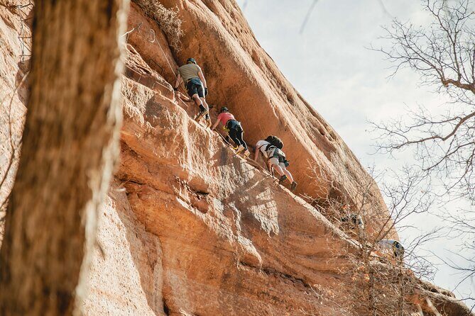 Via Ferrata / Rappel Adventure in East Zion - Who Will Love This Tour?