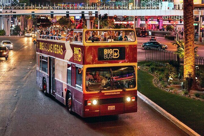 Viator Exclusive: Las Vegas Late Night Tour by Open-Top Bus - The Sum Up