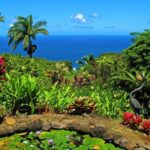 Viator Exclusive: Maui Tropical Rainforest Small Group Tour - A Deeper Dive into the Maui North Shore Tour