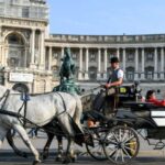 Vienna: 30-Minute Fiaker Ride in the Old Town - Value and Pricing Analysis