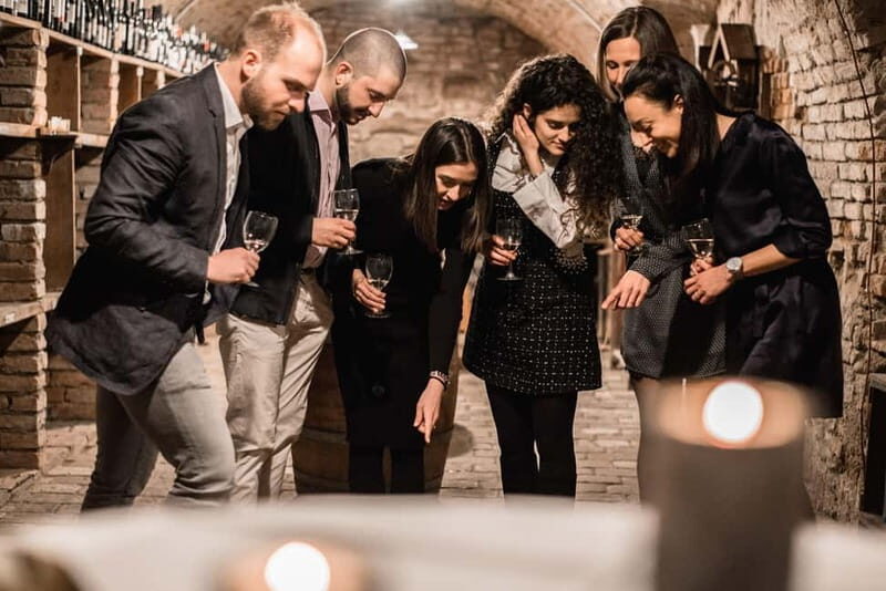 Vienna: Historical Wine Cellar Guided Tour - The Practicalities and Value