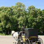 Vienna Porcelain Carriage - A discreet Prater carriage ride for adults - The Itinerary — What You Can Expect