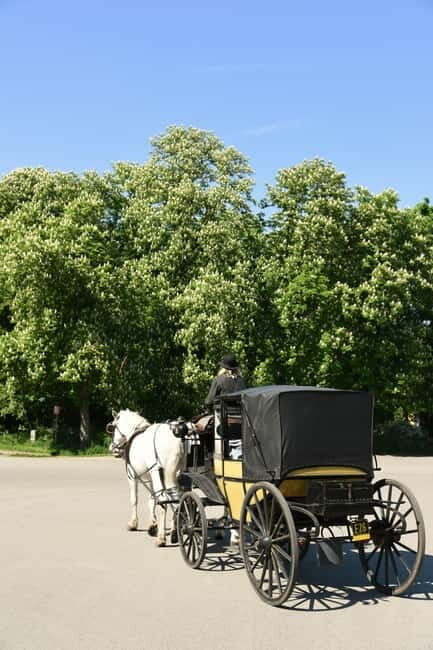 Vienna Porcelain Carriage - A discreet Prater carriage ride for adults - The Itinerary — What You Can Expect
