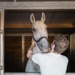 Vienna: Secrets of the Fiaker & Horse-Drawn Carriage Ride - A Practical Overview of the Tour