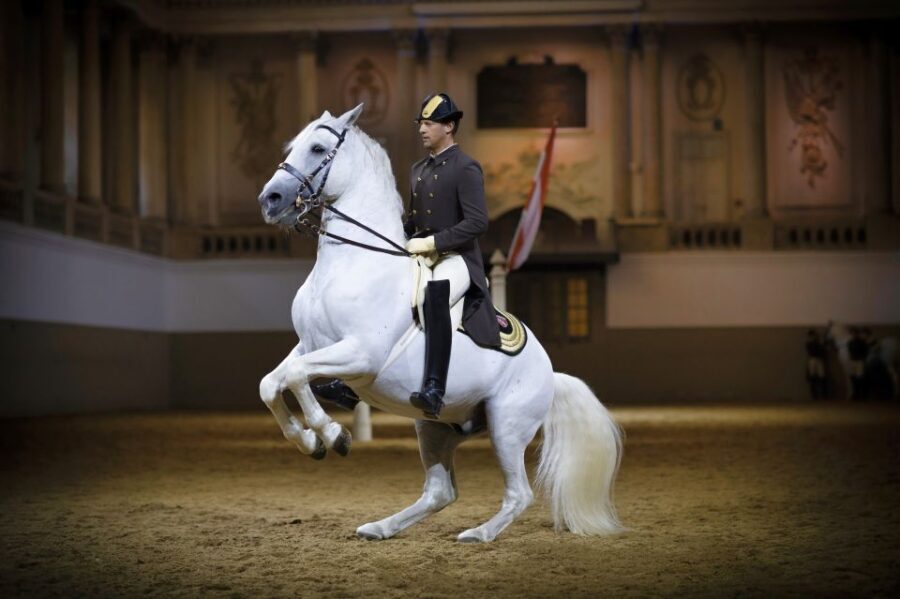 Vienna: Spanish Riding School 45-Minute Performance Show - Practical Tips for Visitors