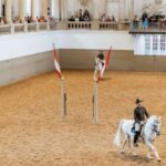 Vienna: Spanish Riding School Training - The Atmosphere and Setting