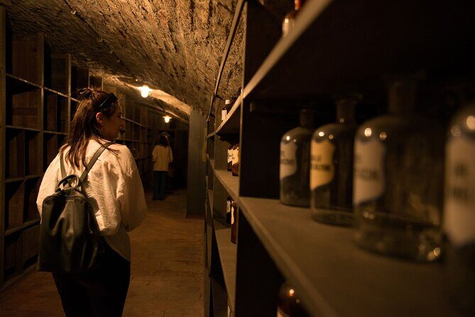 Vienna Underground Guided Walking Tour - Practical Considerations