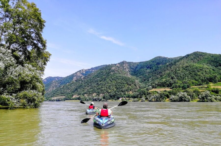 Vienna: Wachau Valley Private Kayak and Wine Tour - What Travelers Say: Authentic Voices