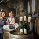 Vienna: Wine Tasting E-Bike Tour - What Travelers Are Saying