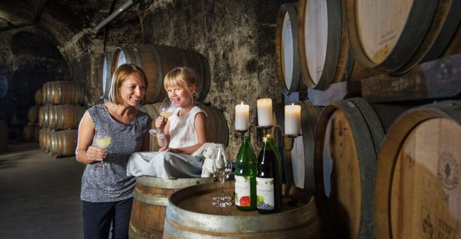 Vienna: Wine Tasting E-Bike Tour - What Travelers Are Saying
