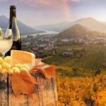 Vienna: Winery and Wine Tasting Tour with a Wine Expert - Practical Details: What to Know Before You Book