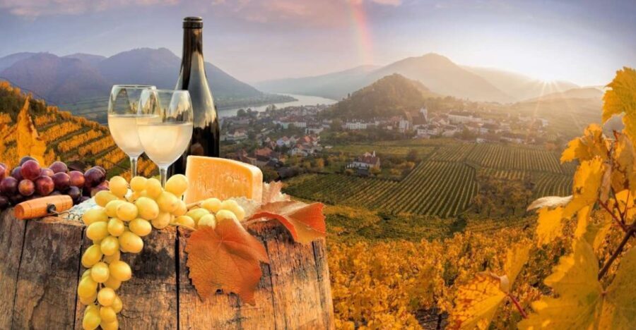 Vienna: Winery and Wine Tasting Tour with a Wine Expert - Practical Details: What to Know Before You Book