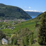 Vik i Sogn: Authentic Farm Visit - Why This Tour Is a Great Choice