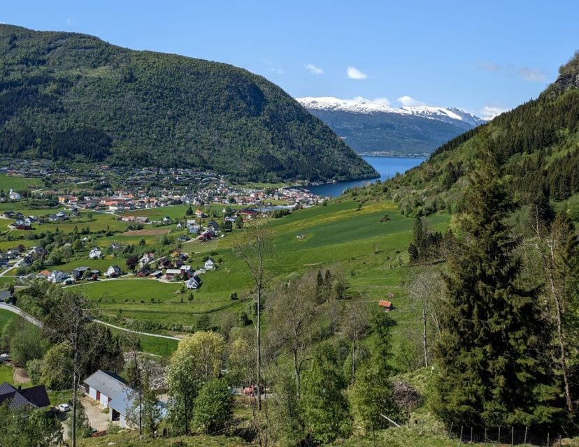 Vik i Sogn: Authentic Farm Visit - Why This Tour Is a Great Choice