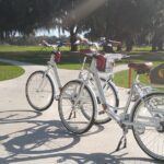 Village Bicycle Rental Free Delivery in The Villages Florida - The Bicycle Fleet and Quality