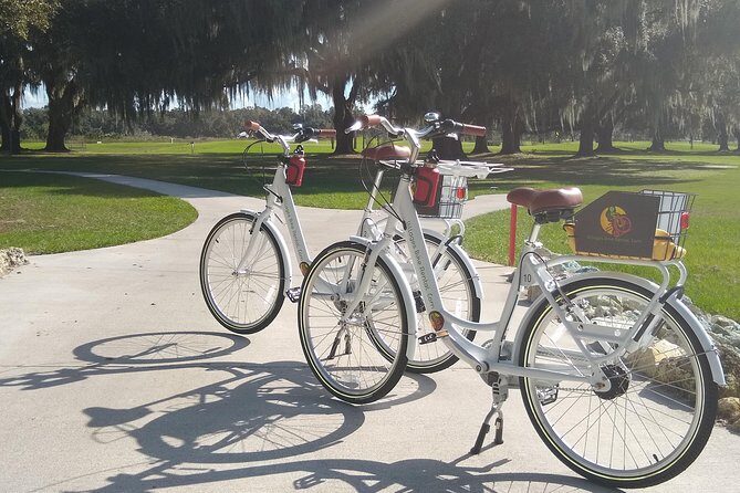 Village Bicycle Rental Free Delivery in The Villages Florida - The Bicycle Fleet and Quality
