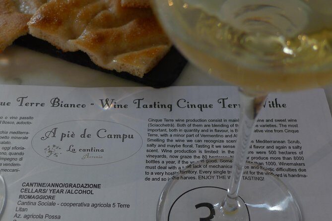 vineyard tour & wine tasting - In-Depth Look at What to Expect