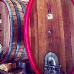 Vineyard visit in Gyropode, visit of Cave & Tasting Wines of Bandol - An In-Depth Look at the Vineyard Tour