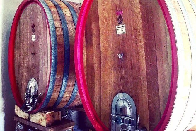 Vineyard visit in Gyropode, visit of Cave & Tasting Wines of Bandol - An In-Depth Look at the Vineyard Tour