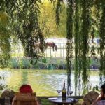 Vineyard Wine Tasting Tour - Discovering Scottsdale’s Vineyards: A Practical Review of the Wine Tasting Tour