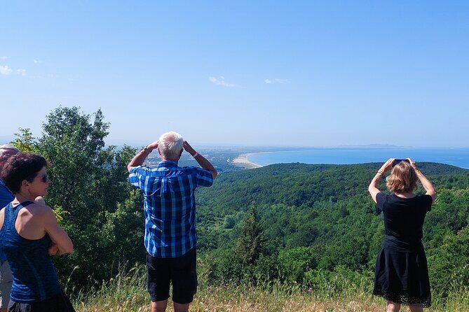 Vineyards, Albanian Wine Food Tasting Tour from Durres/Tirana - Who Should Consider This Tour?