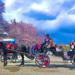 VIP Central Park Experience Tour with photos 50min~Skip the line - Who Will Love This Tour?
