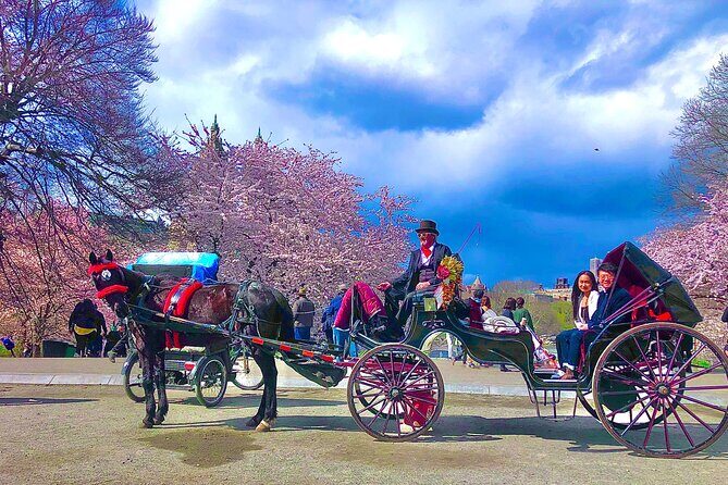 VIP Central Park Experience Tour with photos 50min~Skip the line - Who Will Love This Tour?