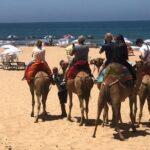 Vip Full Day Private Tangier Tour From Malaga All Inclusive - Authentic Experiences Drawn from Travelers’ Reviews