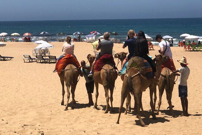 Vip Full Day Private Tangier Tour From Malaga All Inclusive - Authentic Experiences Drawn from Travelers’ Reviews