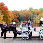 VIP Horse Carriage Ride through Central Park (Up to 4 Adults) - A Detailed Breakdown of the Itinerary