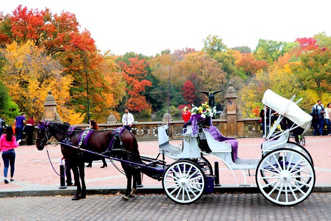 VIP Horse Carriage Ride through Central Park (Up to 4 Adults) - A Detailed Breakdown of the Itinerary