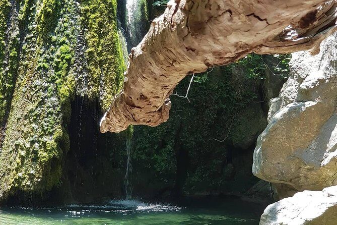 VIP Luxury Private Tour- Half Day - 4x4 Excursion with Land Rover - Transportation and Comfort: Making the Most of Your Day