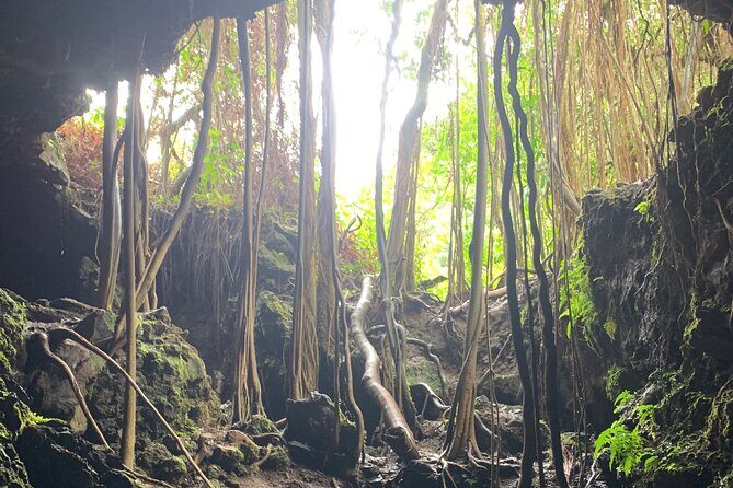 VIP Private Full-Day Road to Hana Tour from Lahaina-Kapalua - FAQ