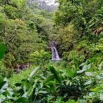 VIP Private Full-Day Road to Hana Tour from Wailea - Kihei - Authentic Experiences and What Travelers Are Saying
