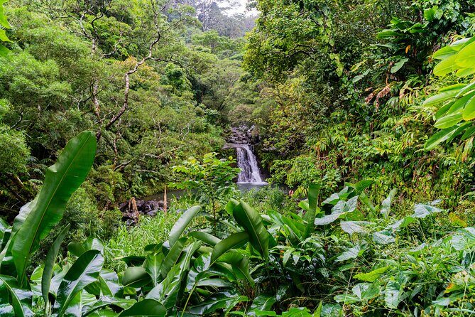 VIP Private Full-Day Road to Hana Tour from Wailea - Kihei - Authentic Experiences and What Travelers Are Saying